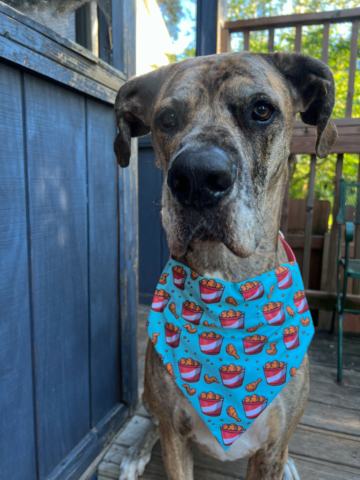All Bandanas – Izzy's Barkin' Bandanas